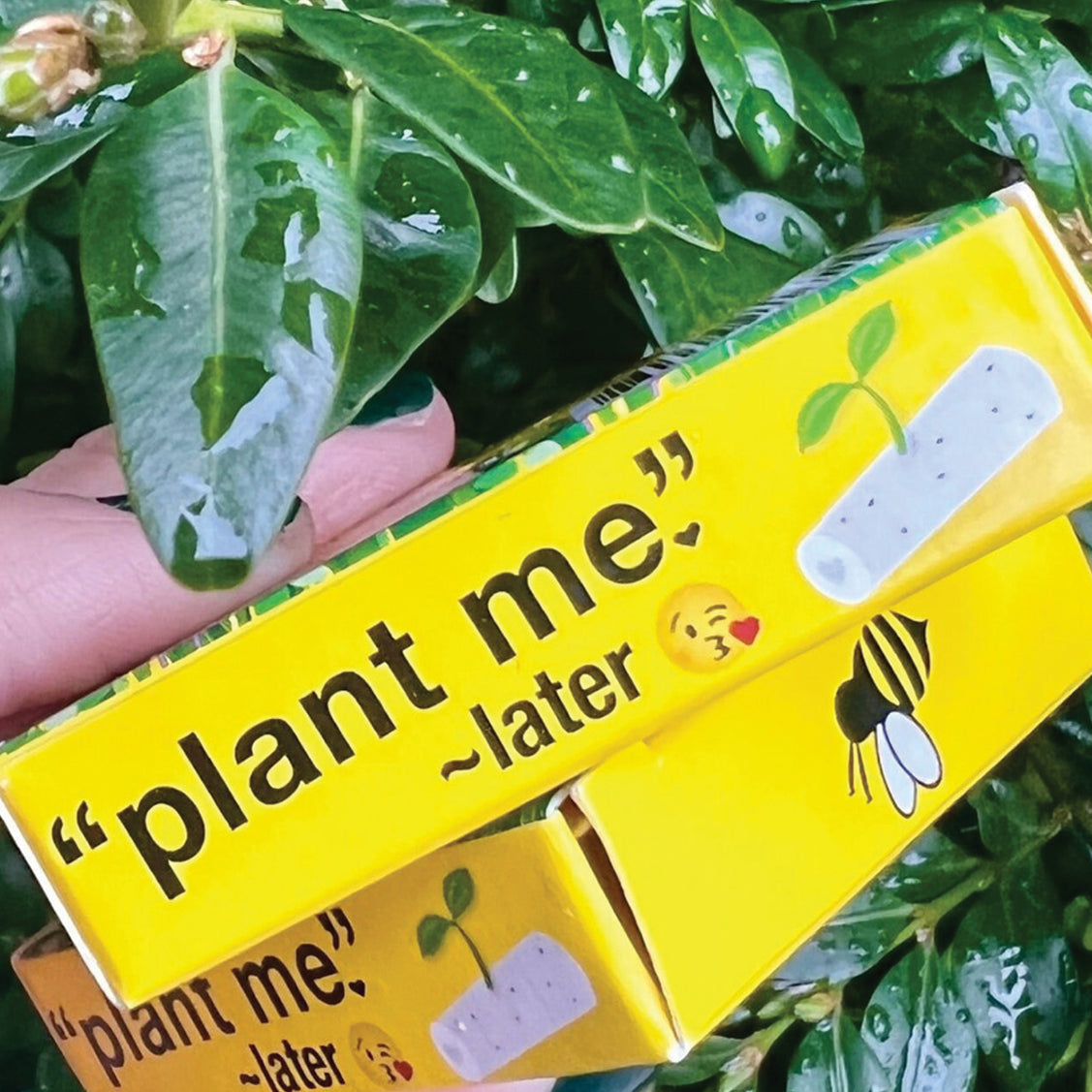 Find your perfect bongs & dab rigs - bong outlet on